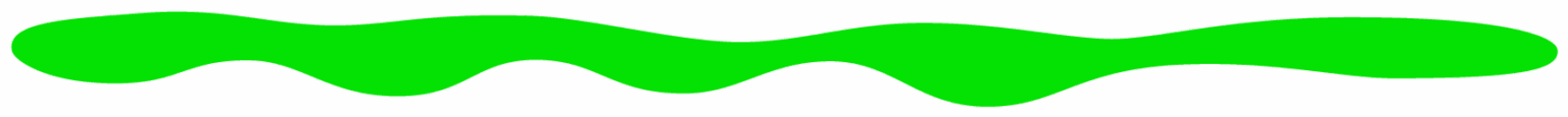 Home2026 - The Slime Factory - Edison, NJ