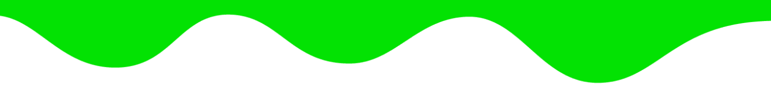 Home2026 - The Slime Factory - Edison, NJ